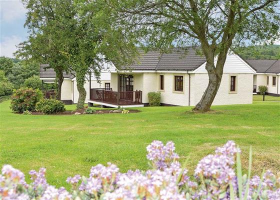 Brunston Castle Resort - holiday lodges in Ayrshire. Brunston Castle ...