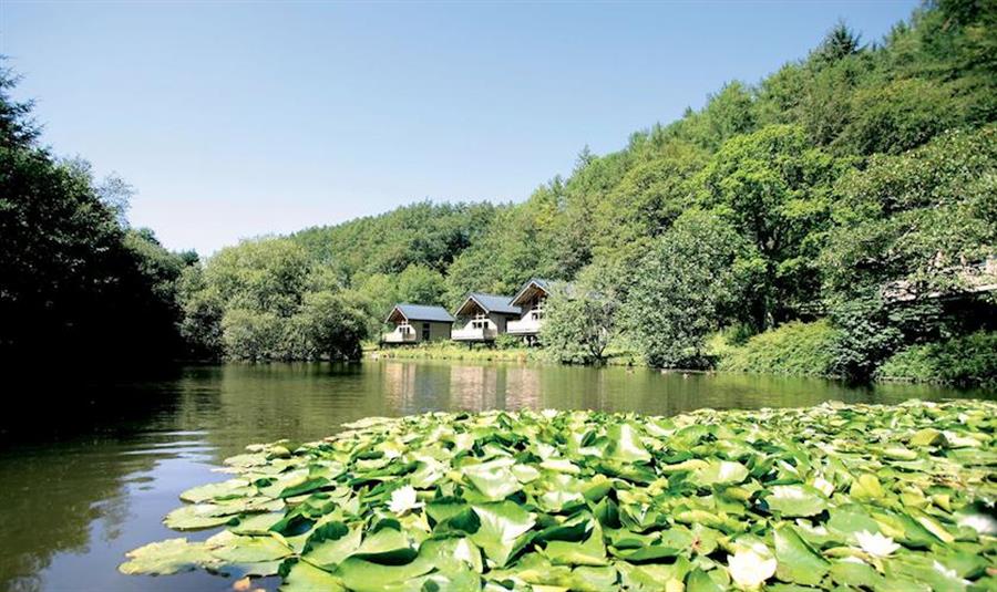 Deerpark Forest - Liskeard, Cornwall | Self catering holidays and short ...