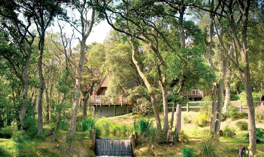 301 Moved Permanently