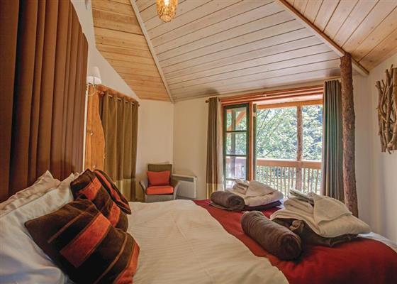 Deerpark Forest - Liskeard, Cornwall | Self catering holidays and short ...