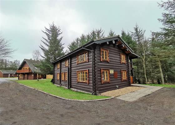 Piperdam Lodges - Dundee, Fowlis | Self catering holidays and short ...