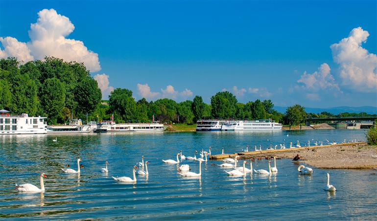 L'Ile du Rhin Campsite (CL010) - Biesheim, Alsace, France. Caravan ...