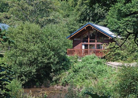 Deerpark Forest - Liskeard, Cornwall | Self catering holidays and short ...